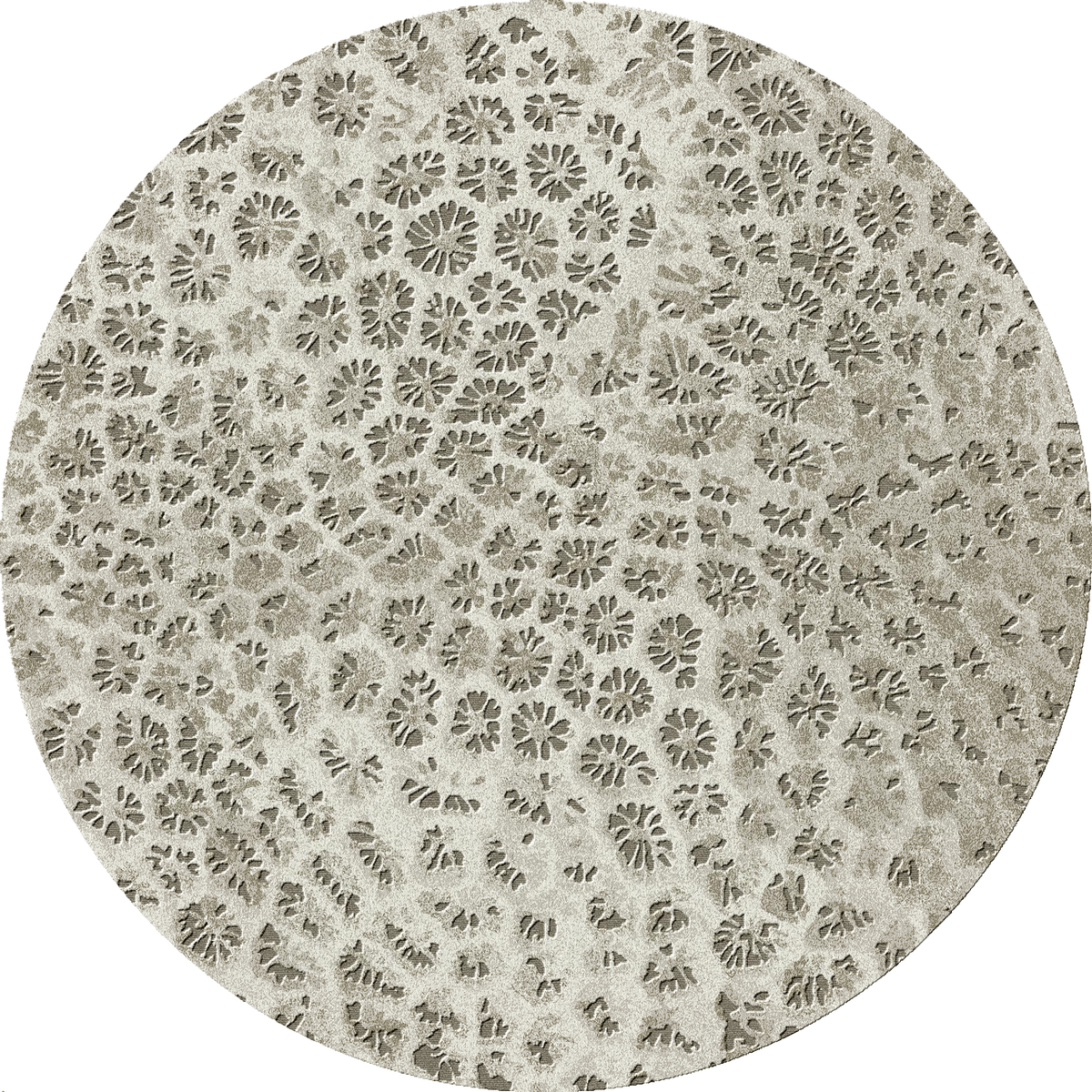 Tsar Reef Range – Cult - Design First